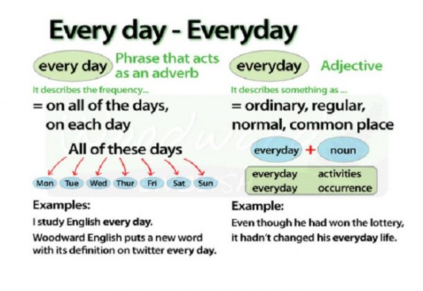 Cách phân biệt everyday, every day và daily - EFC